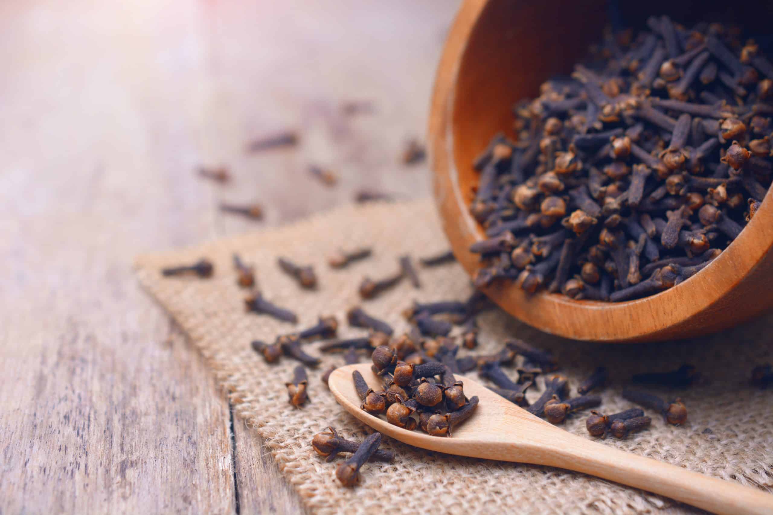 Klinčić - nuspojave, ljekovitost, cijena, gdje kupiti - Arz.hr