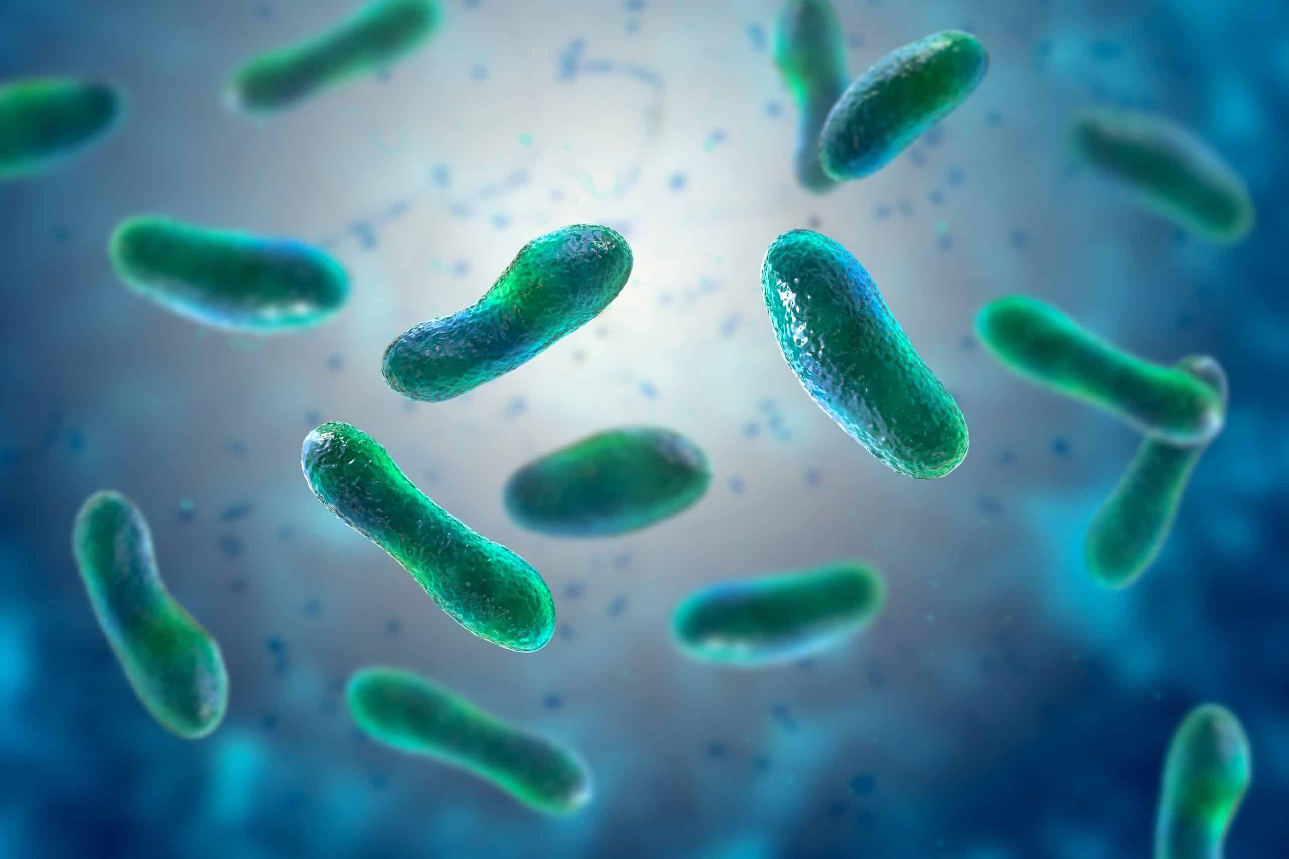 groznica Archives - Arz.hr