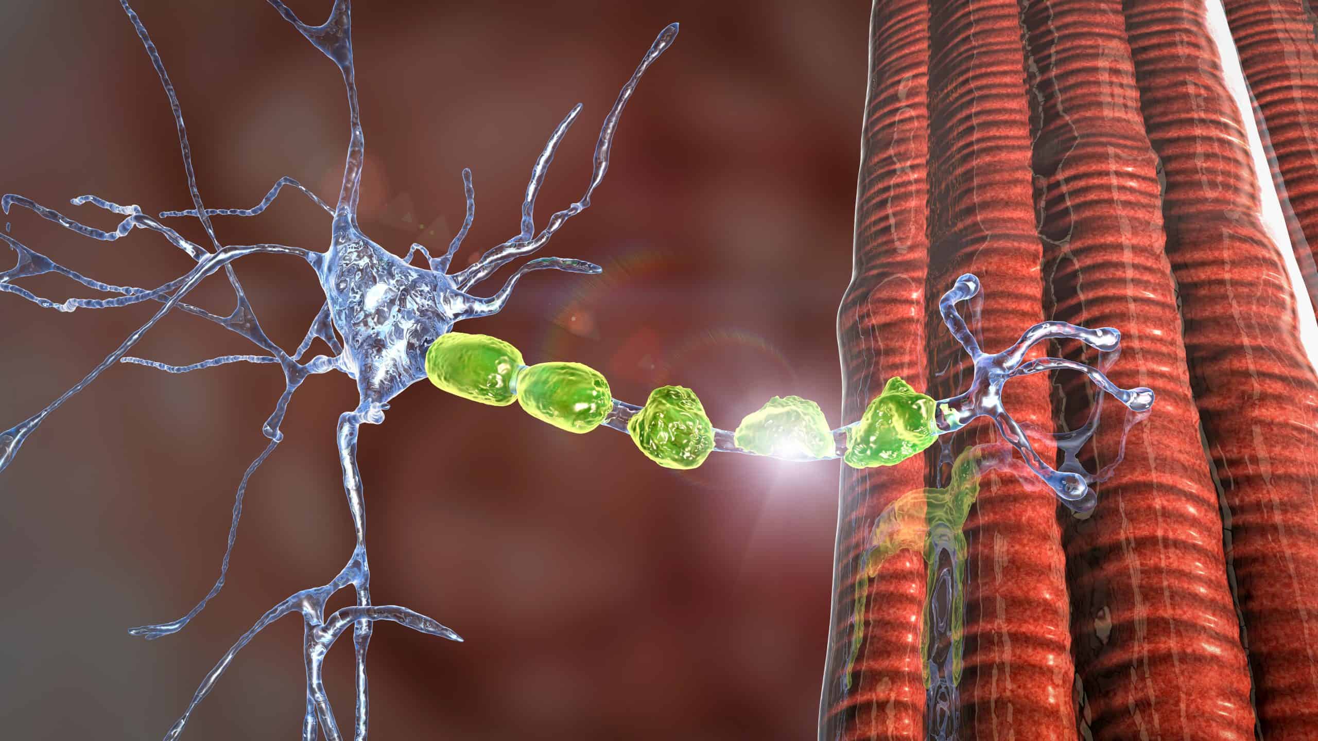 Što je neuropatija - Arz.hr