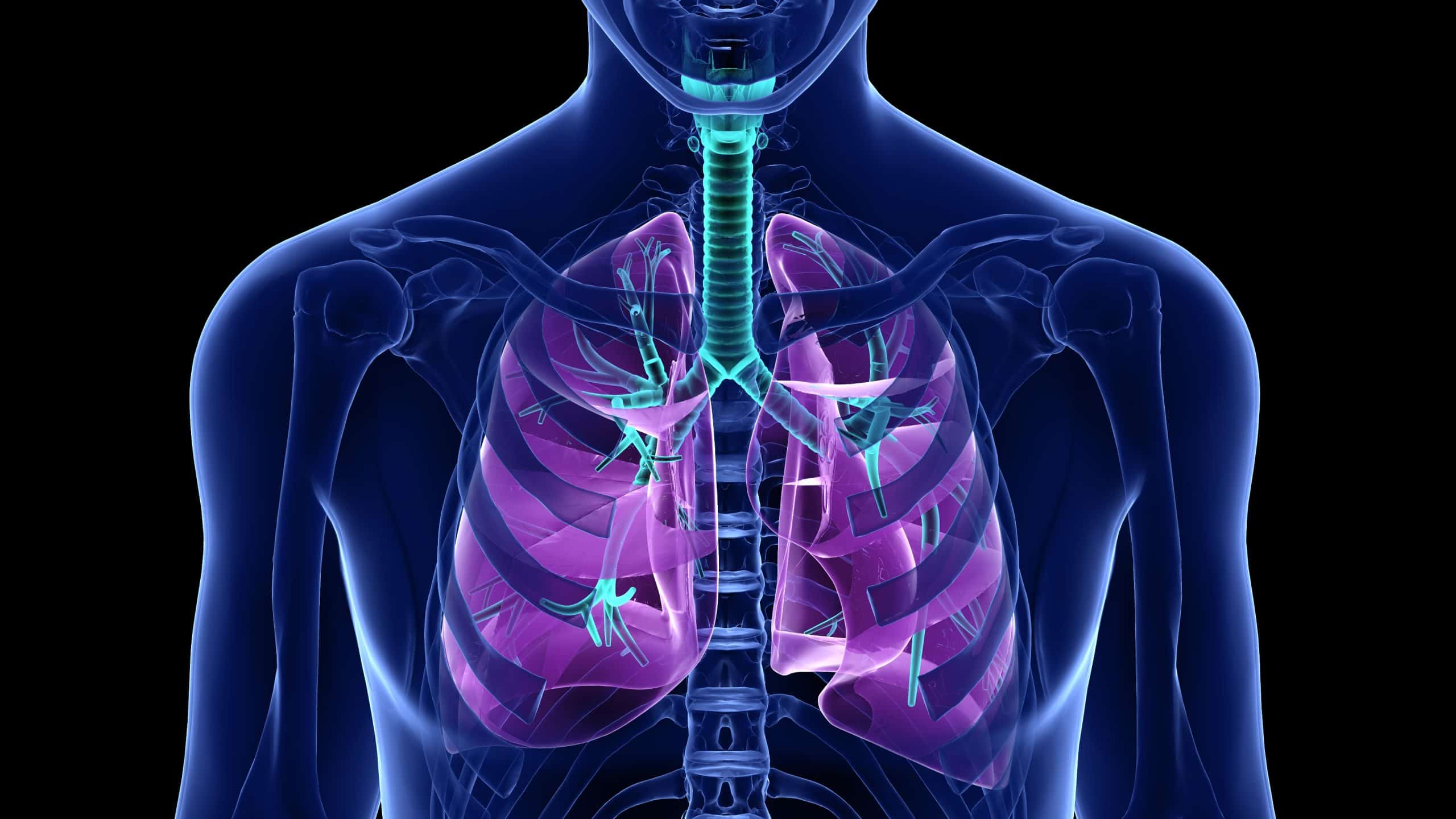 Što je toraks - Arz.hr