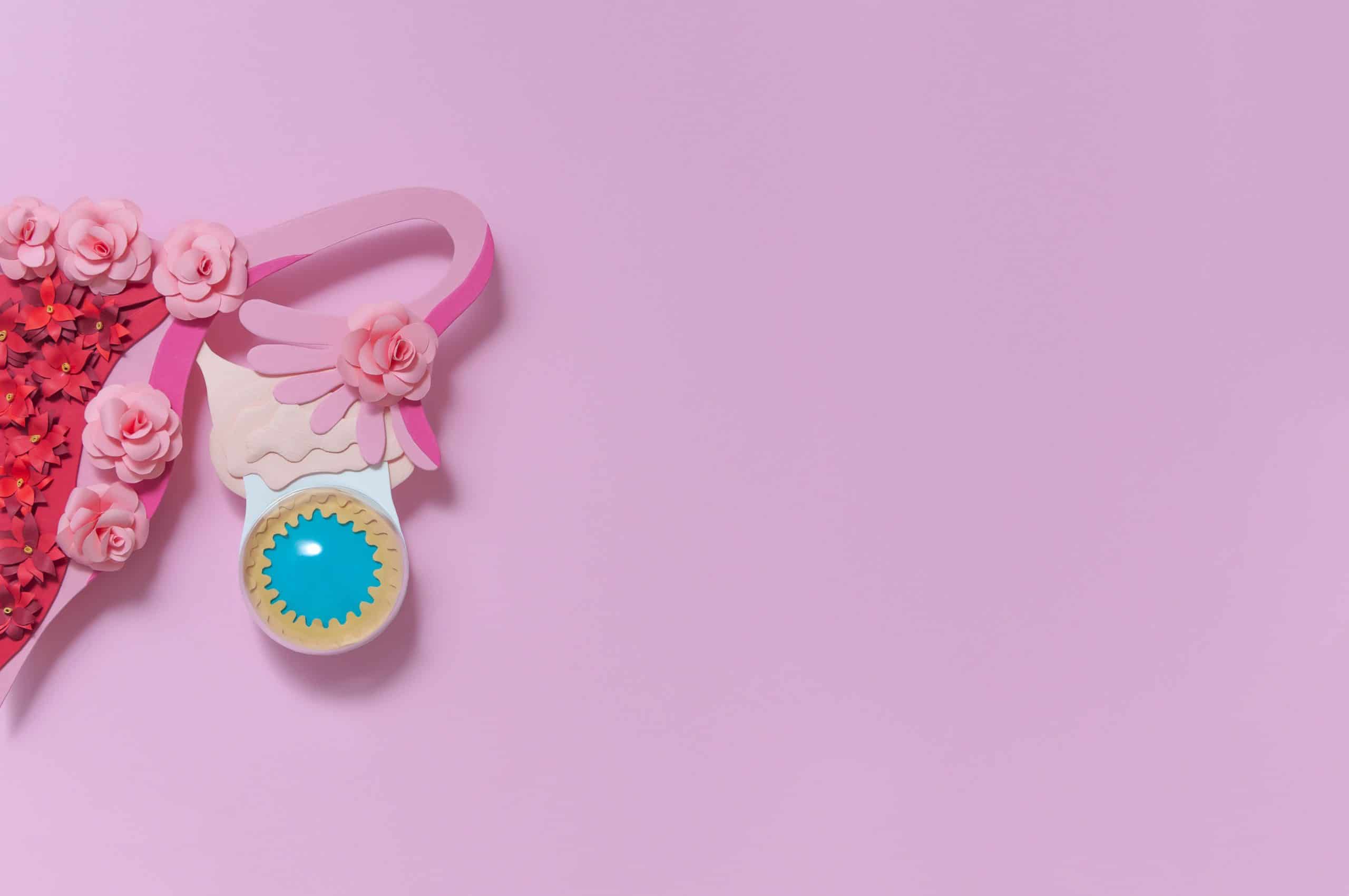 Što je žuto tijelo - Arz.hr