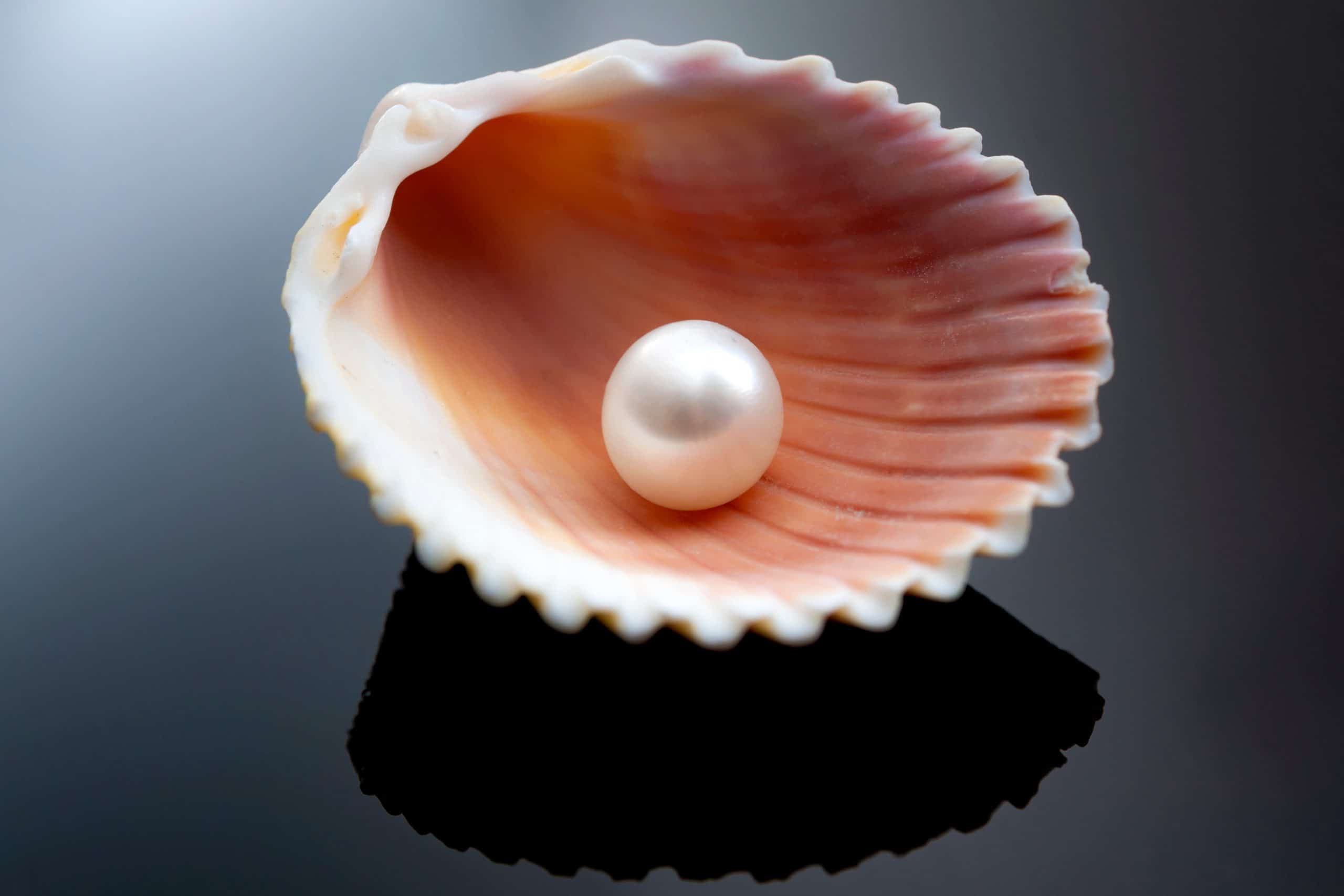 Kako školjke proizvode bisere - Arz.hr