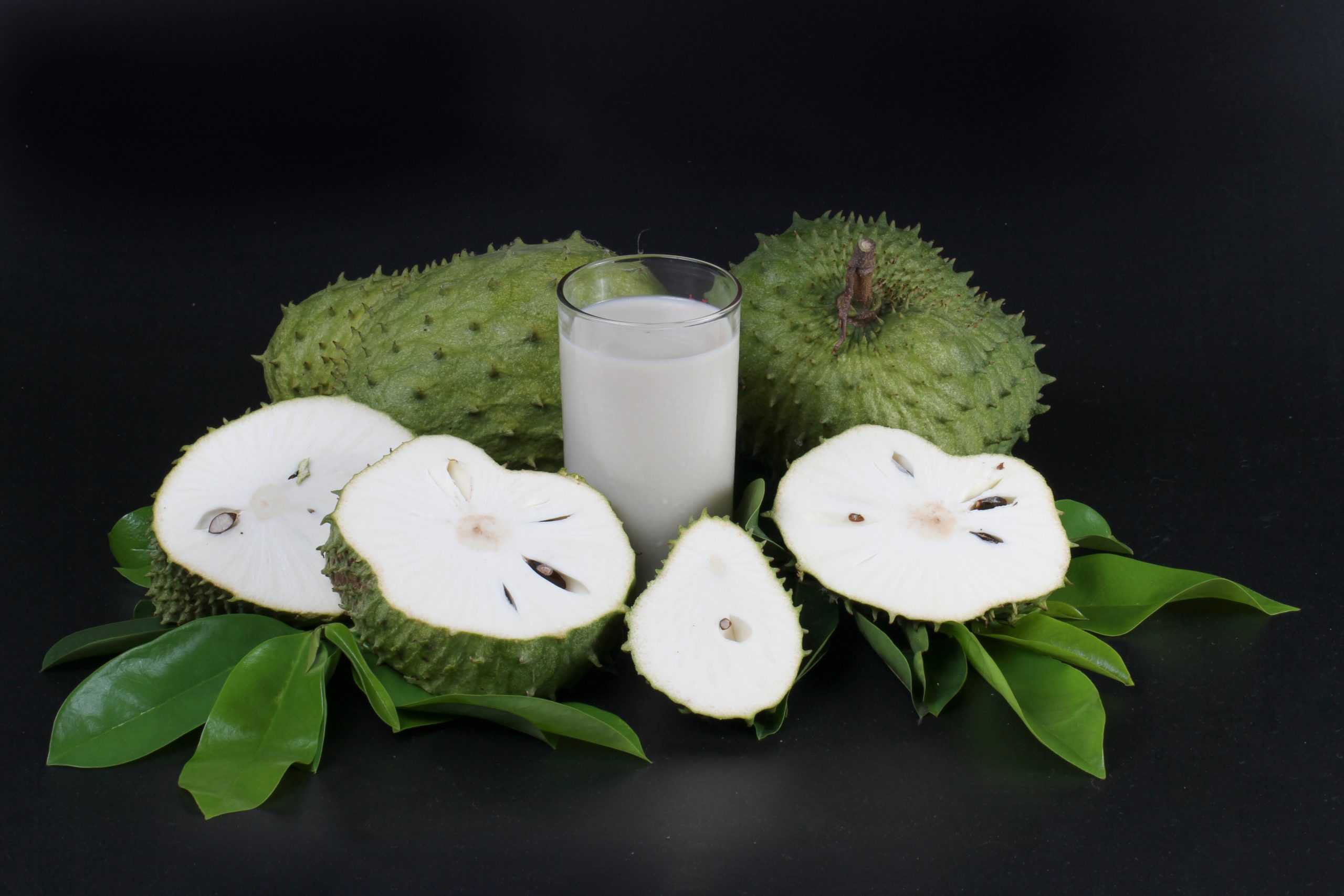 Graviola gdje kupiti - Arz.hr