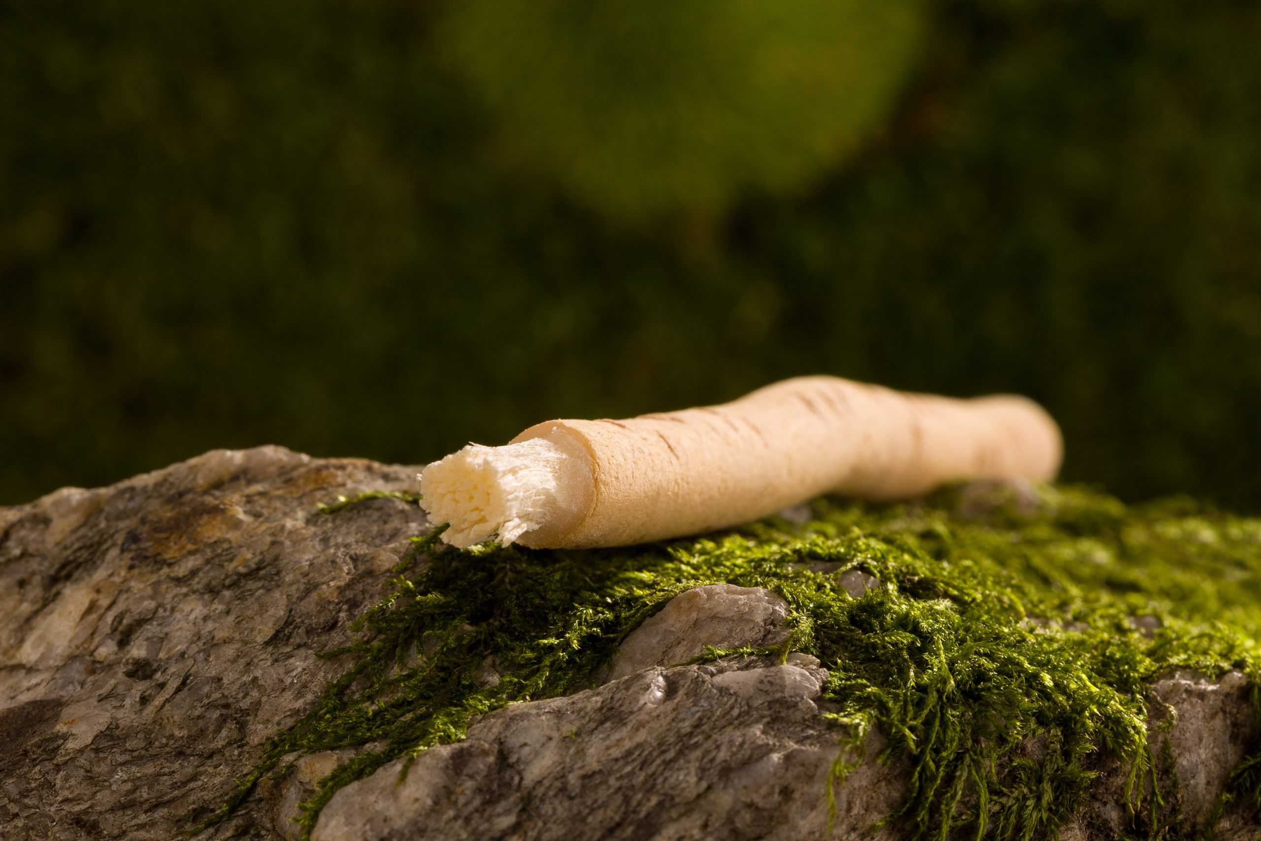 Misvak gdje kupiti - Arz.hr