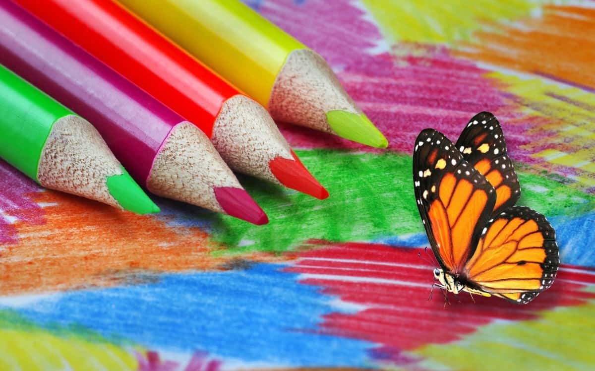 Kako se crta leptir - Arz.hr