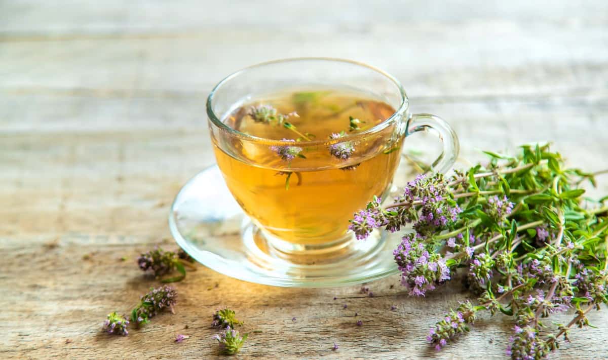 Majčina dušica čaj za šta je dobar - Arz.hr