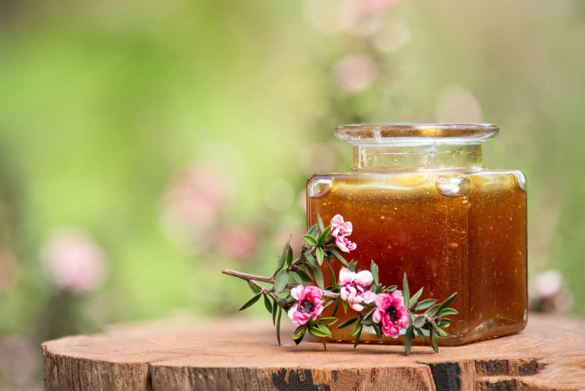 Manuka med za šta je dobar - Arz.hr